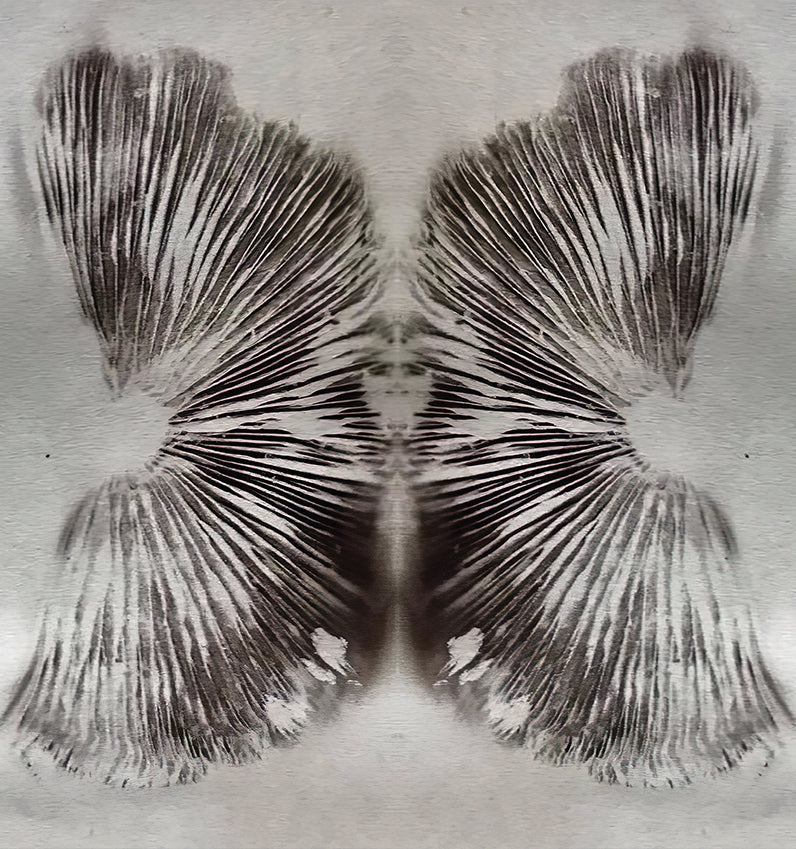 Digital Spore Prints – The Spore Print Collective