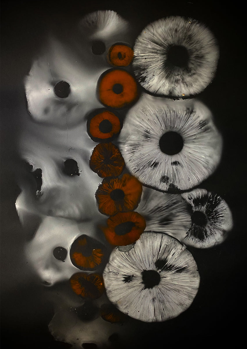 {~ Spore print #32 ~} Limited edition A3 print – The Spore Print Collective